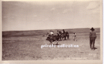 Gilman Montana Stampede postcard - Eagle Editions Ltd.